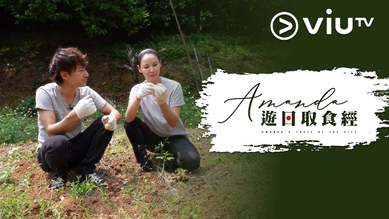 Amanda 遊日取食經 Episode 06 | Watch online and download free HK Drama, TVB ...